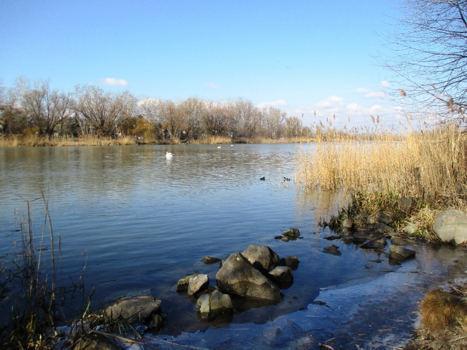 Csepel-sziget | MÁV-csoport