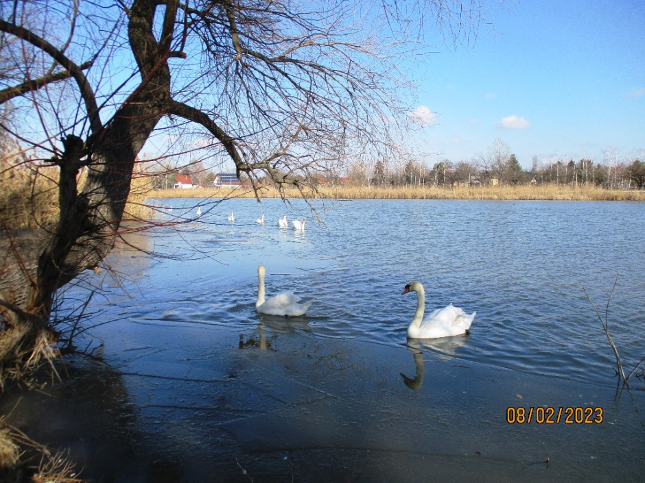 Csepel-sziget | MÁV-csoport